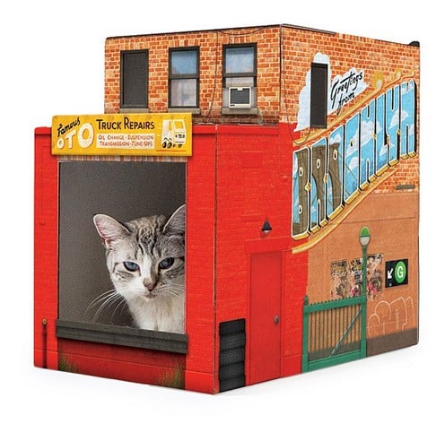 Astuces et conseils pour créer un coin cocooning à son chat